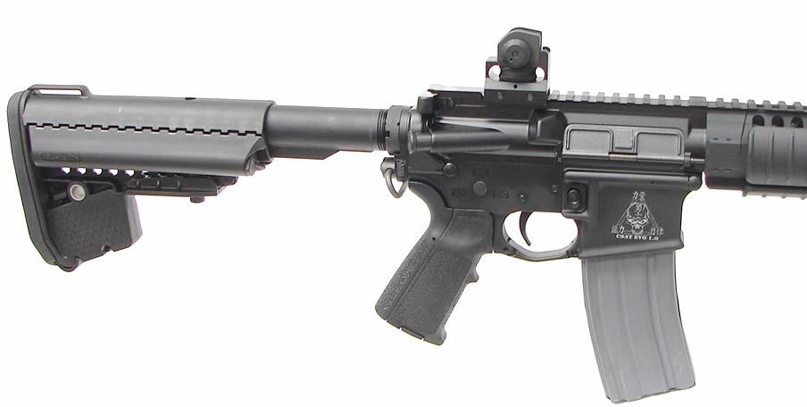 Land Warfare Res. Cor M6A1-S 5.56mm caliber rifle. Paul Howe CSAT ...