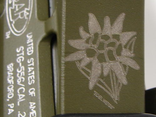 Microtech Small Arms STG-556 .223 caliber rifle. Limited edition with ...