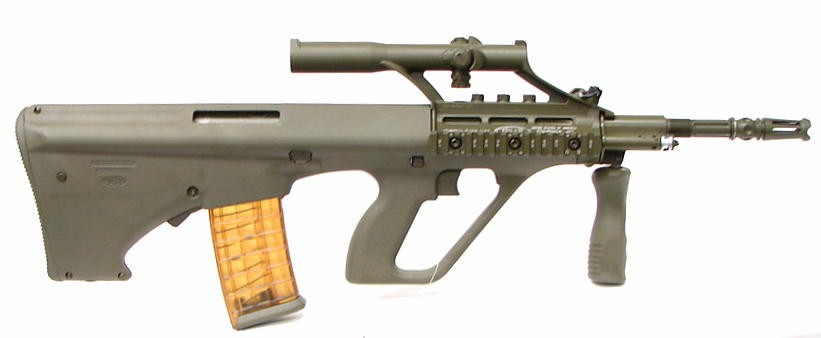 Microtech Small Arms STG-556 .223 caliber rifle. Limited edition with ...