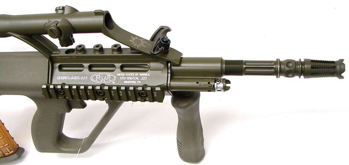 Microtech Small Arms STG-556 .223 caliber rifle. Limited edition with ...