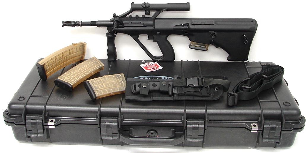 Microtech Small Arms STG-556 .223 caliber rifle. Limited edition ...