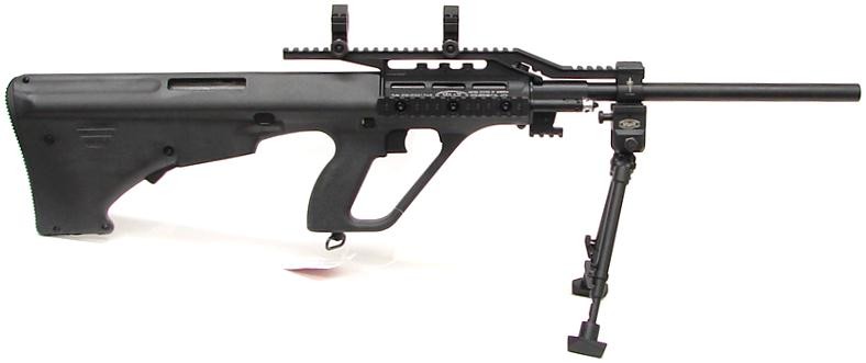 Microtech Small Arms STG-556 HB .223 Rem caliber rifle with 24 1/2 ...