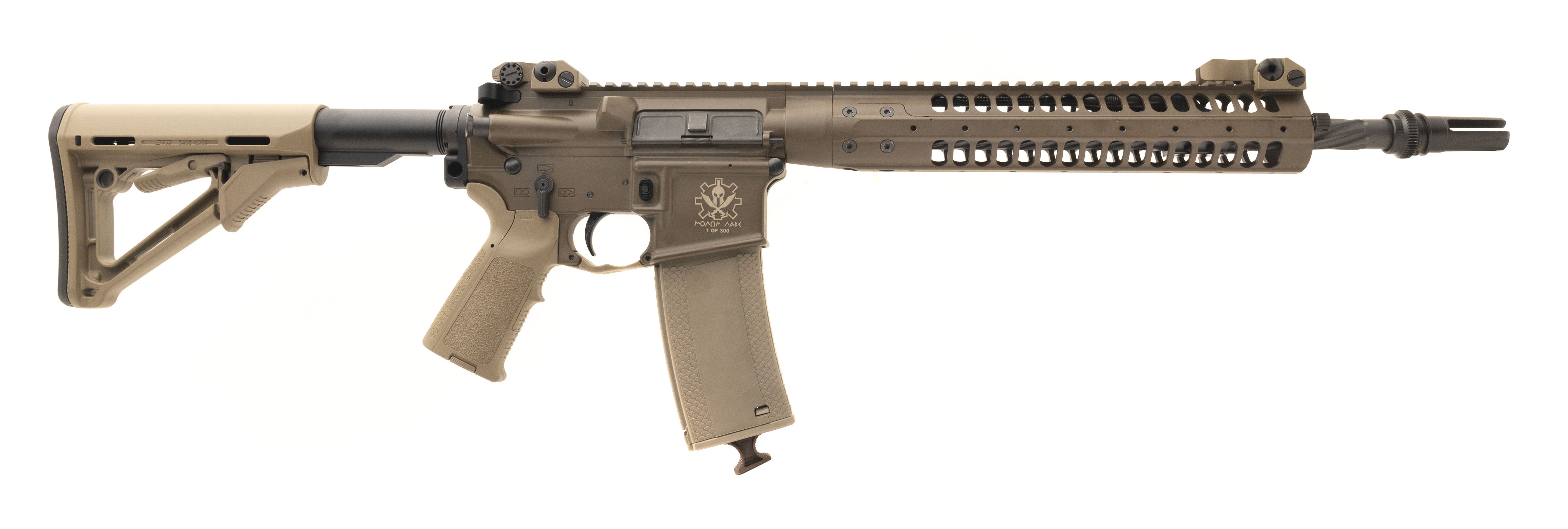 LWRC M6A2 Spartan 1 of 300 5.56 NATO (R29674) - Collectors Firearms