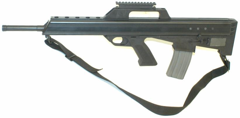 Bushmaster M17S .223 Rem caliber rifle with one 30 mag and sling. Pre ...