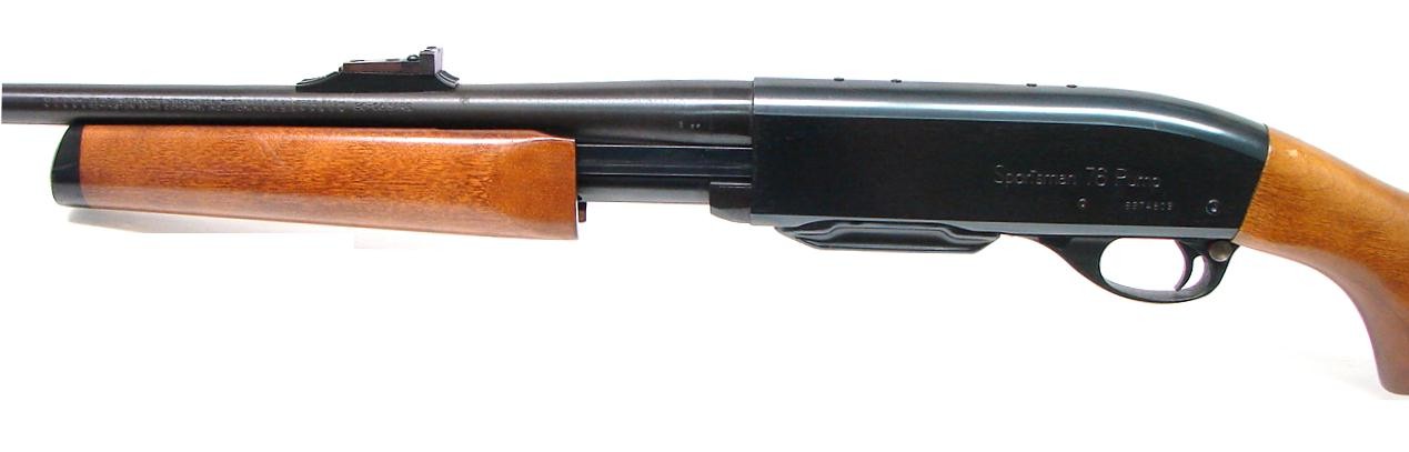 Remington Sportsman 76 Pump .30-06 SPRG caliber rifle. Pump Action Deer ...