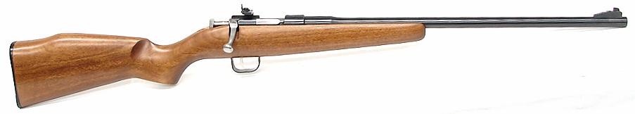 Rogue Rifle Co Chipmunk .22 LR caliber rifle. New. (r5933) - Collector ...
