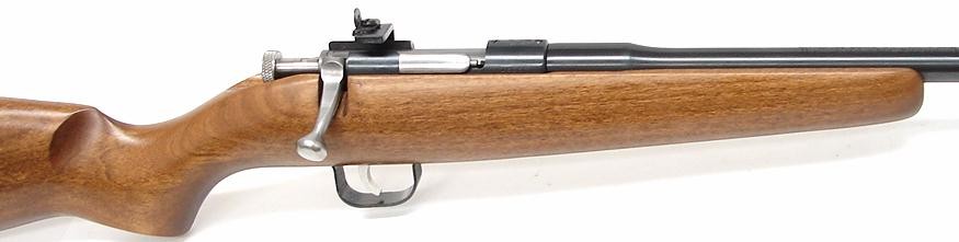 Rogue Rifle Co Chipmunk .22 LR caliber rifle. New. (r5933) - Collector ...