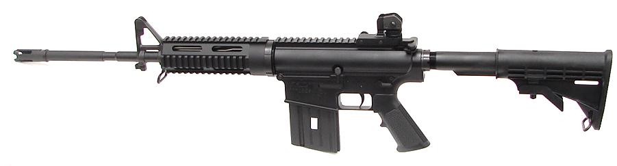 DPMS Inc LR-308 .308 Win caliber carbine. Panther 16 carbine with quad ...