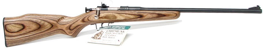 Chipmunk Standard .22 LR caliber childs rifle with brown laminate stock ...