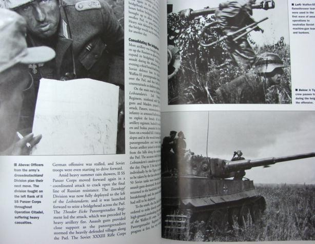 SS Steel Storm: Waffen-SS Panzer Battles on the Eastern Front 1943-1945 ...