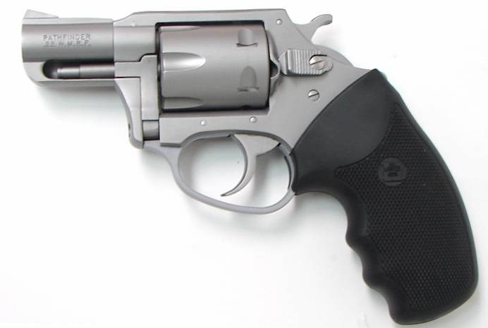 Charter Arms Pathfinder .22 WMR caliber stainless revolver with 2 ...
