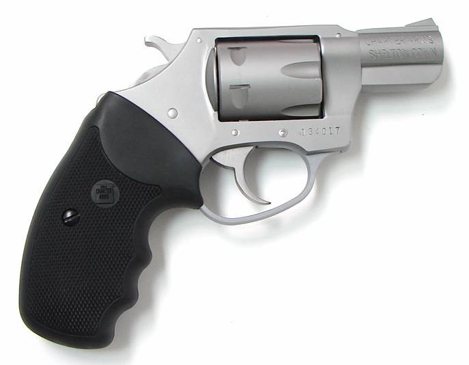 Charter Arms Pathfinder .22 WMR caliber stainless revolver with 2 ...